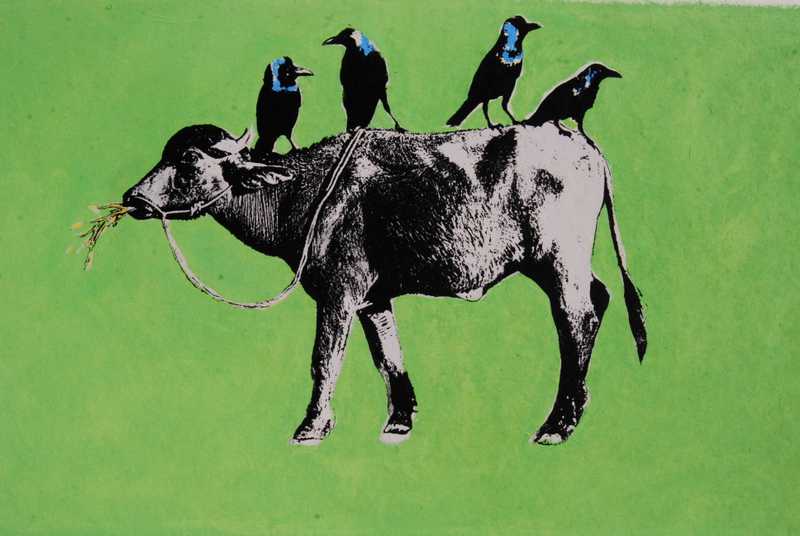 Buffalo and crows | Resources in Chaos